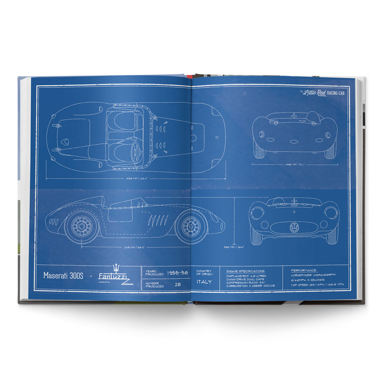 The Little Red Racing Car: Hardcover– CarpeViam